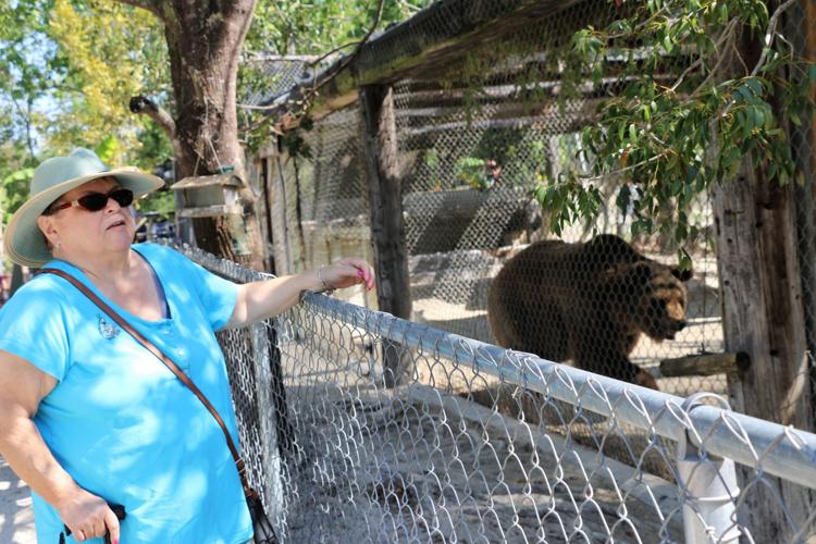 Octagon Wildlife Sanctuary hosts annual community appreciation day ...