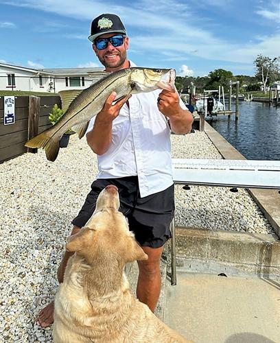 Reader photos | Waterline | yoursun.com