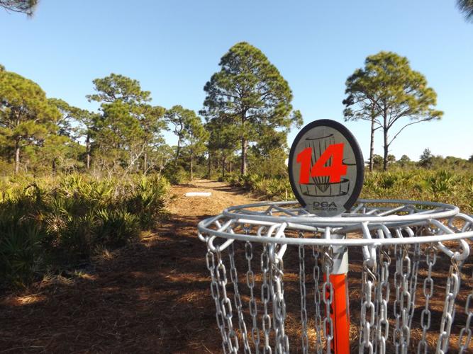 Disc players teeing up in Englewood | The Daily Sun | yoursun.com