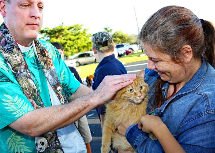 A blessing for the animals | News Archives | yoursun.com
