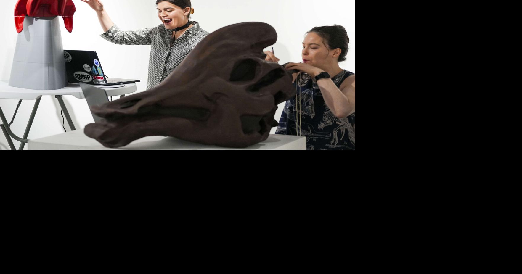 Want to hear dinosaurs ‘sing’? These instruments bring prehistory back ...