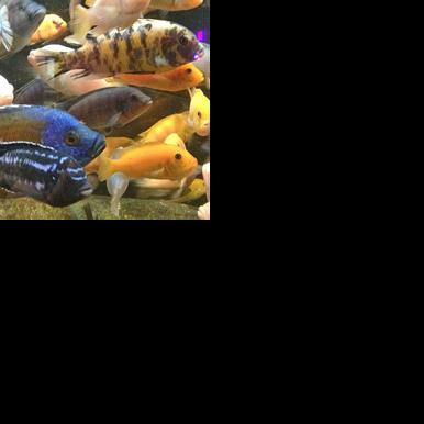 Slack Tides | Waterline | yoursun.com