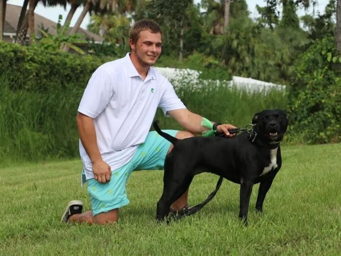 Cops: Man fired bullet into truck | News | yoursun.com