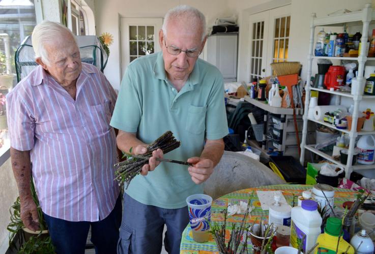 HISTORY COLUMN: Hibiscus Festival brings out community's 'colorful ...