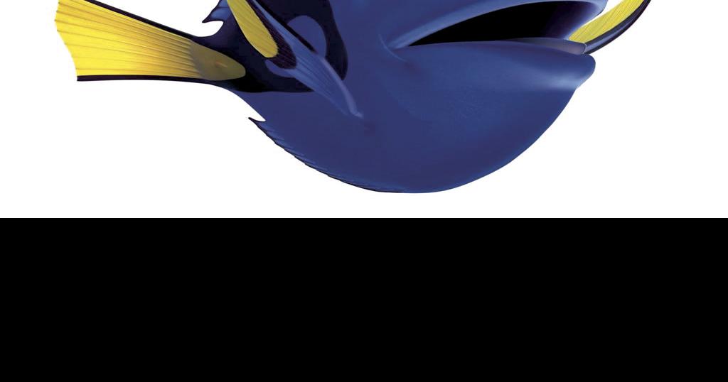 Slack Tides | Waterline | yoursun.com