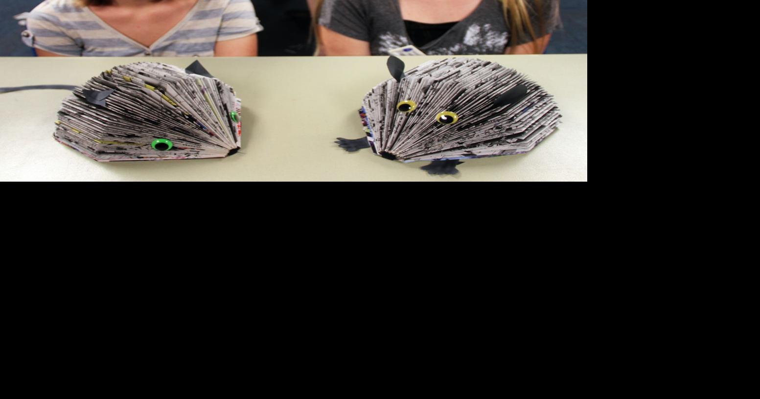 Going hedgehog wild at Elsie Quirk Library | News Archives | yoursun.com