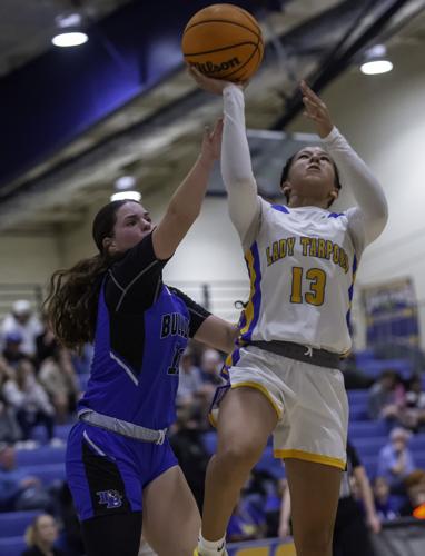 GIRLS BASKETBALL: Charlotte cruises to fourth straight district title ...