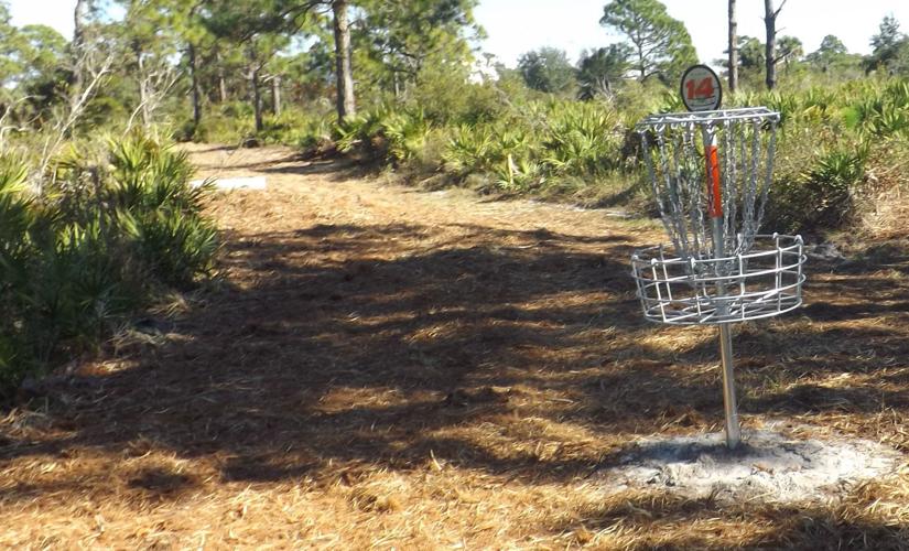 Disc players teeing up in Englewood | The Daily Sun | yoursun.com