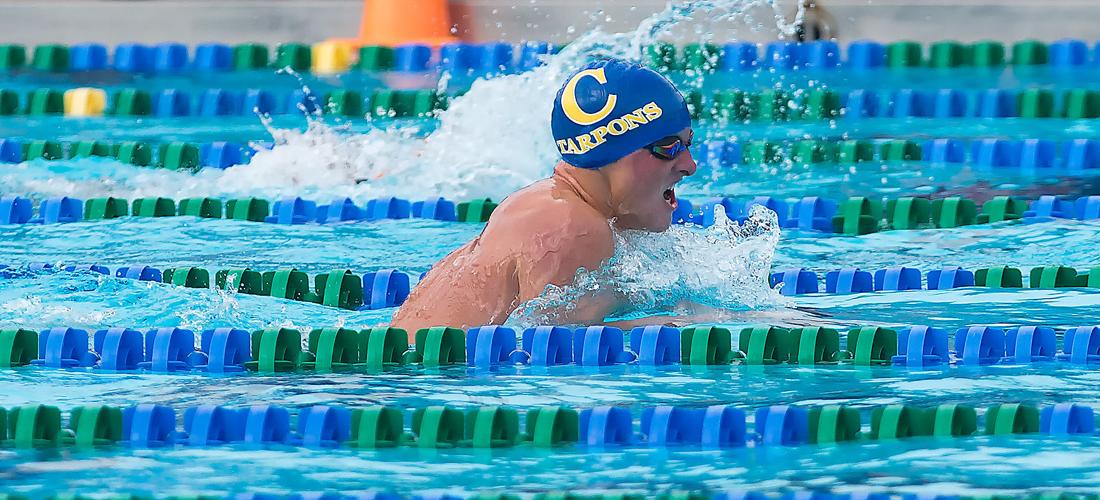 Realizing a dream | The Daily Sun | yoursun.com