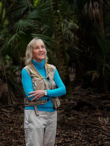 'Canopy Meg' speaks for the trees April 8 | News | yoursun.com