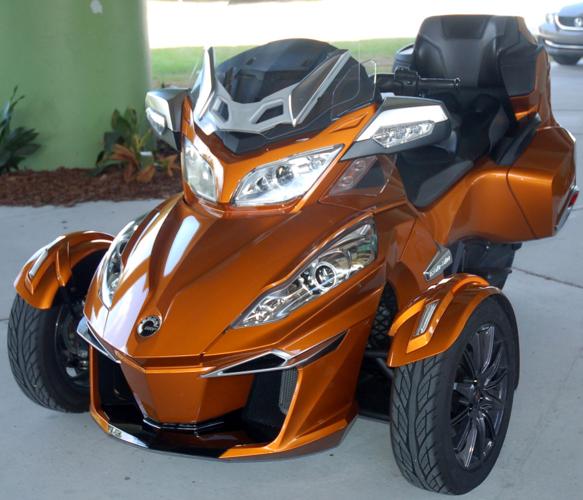 Bring on the Hogs | Newsarchives | yoursun.com