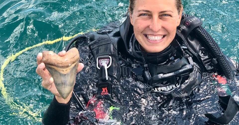 Capt. Blair Morrow takes shark teeth from sea to studio ...