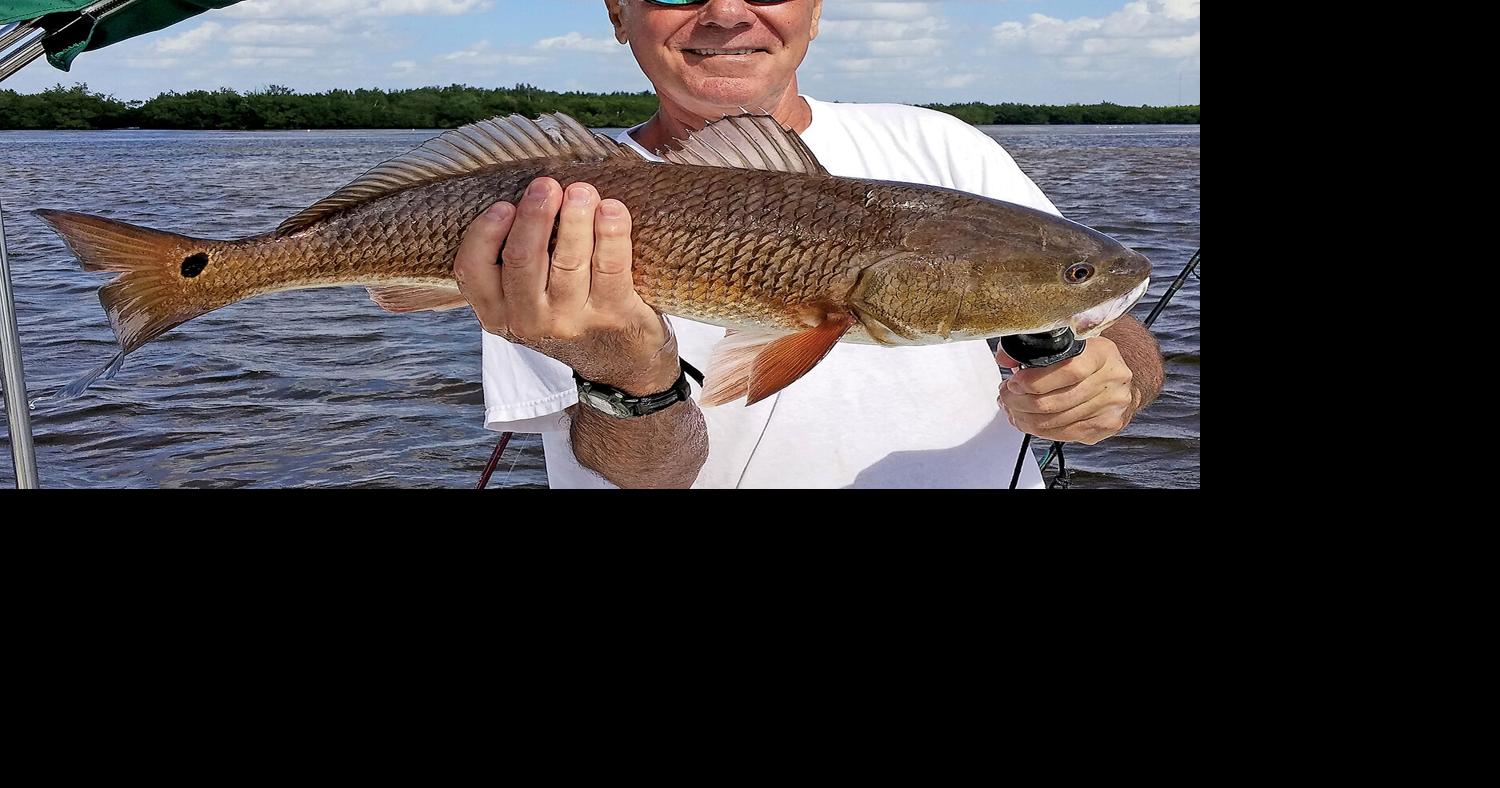 Avoid the hookup: Techniques to keep those annoying fish from ...