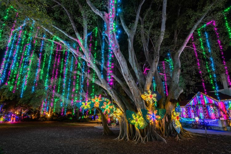 'Lights In Bloom' is a tropical winter wonderland | Go! | yoursun.com