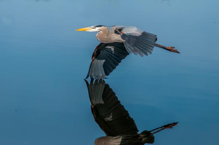 Four photographers open DeSoto art season | News Archives | yoursun.com