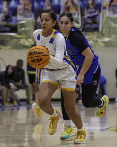 GIRLS BASKETBALL: Charlotte cruises to fourth straight district title ...