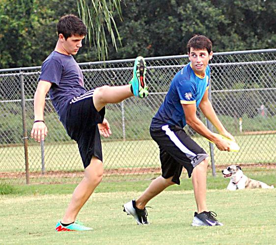 Local Frisbee movement takes flight | Newsarchives | yoursun.com