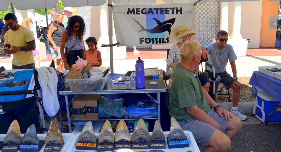 Thousands attend 2024 Sharks Tooth Festival | News | yoursun.com