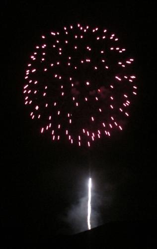 Fireworks may disrupt turtles — or not | News Archives | yoursun.com