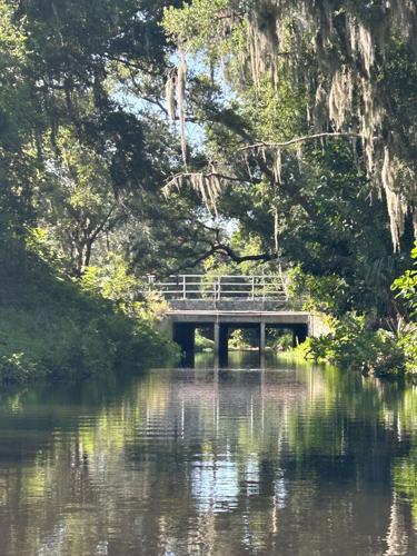 On Hatchett Creek, boat through a Venice 'cave' | News | yoursun.com