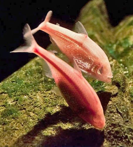 Slack Tides | Waterline | yoursun.com