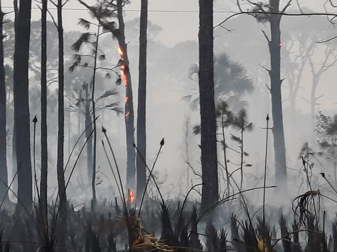 Fire 90% contained: Forestry crews stay on at Myakka State Forest ...