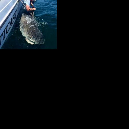 Slack Tides | Waterline | yoursun.com