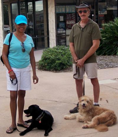 You, your dog need confidence | News Archives | yoursun.com