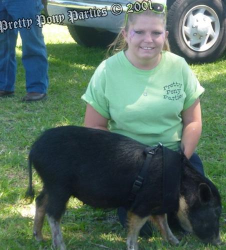 Two mouthed pig born | Newsarchives | yoursun.com