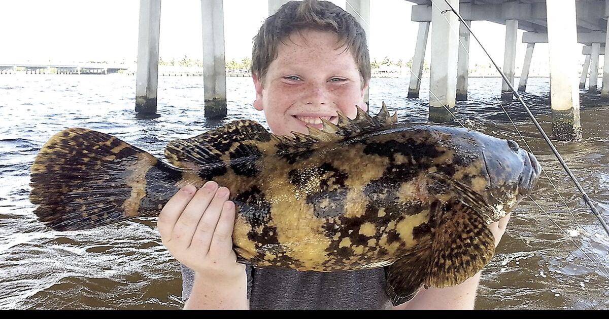 Goliath grouper aren’t in the book | Waterline | yoursun.com