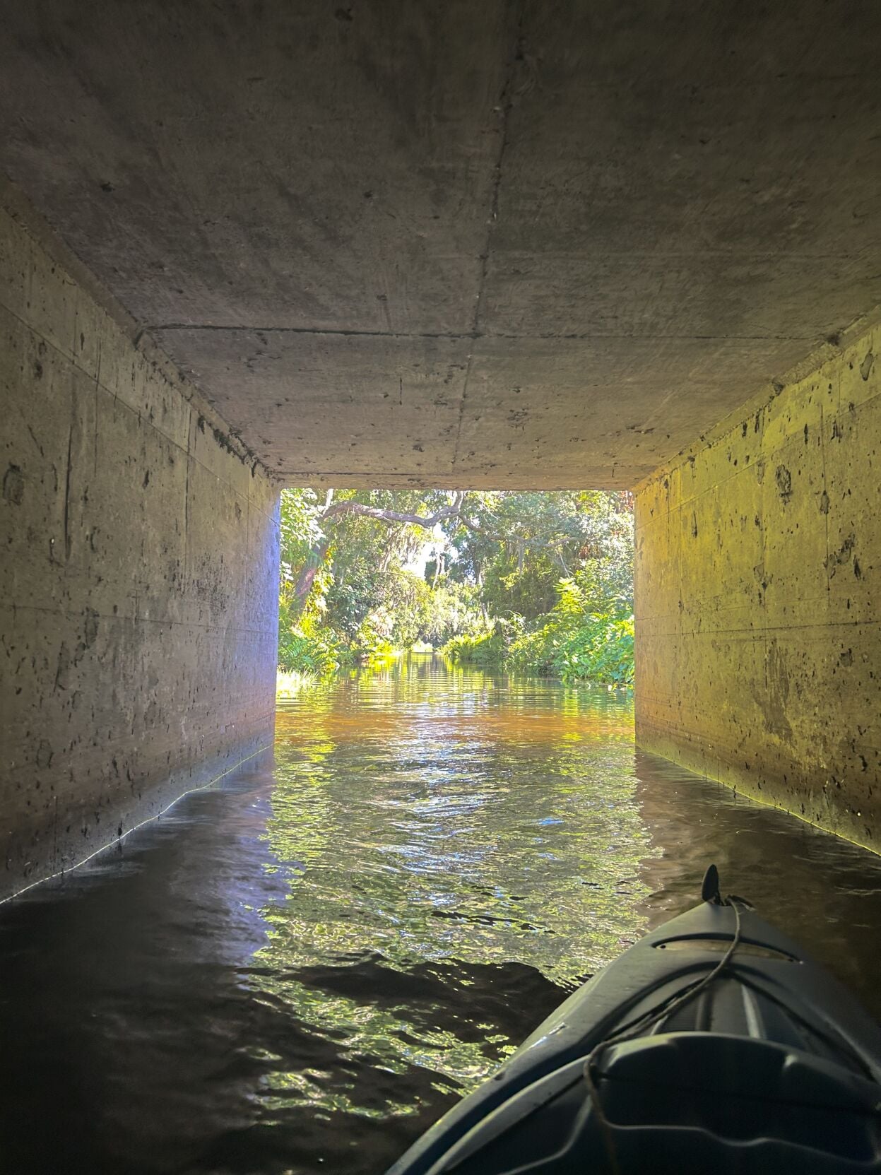 On Hatchett Creek, boat through a Venice 'cave' | News | yoursun.com