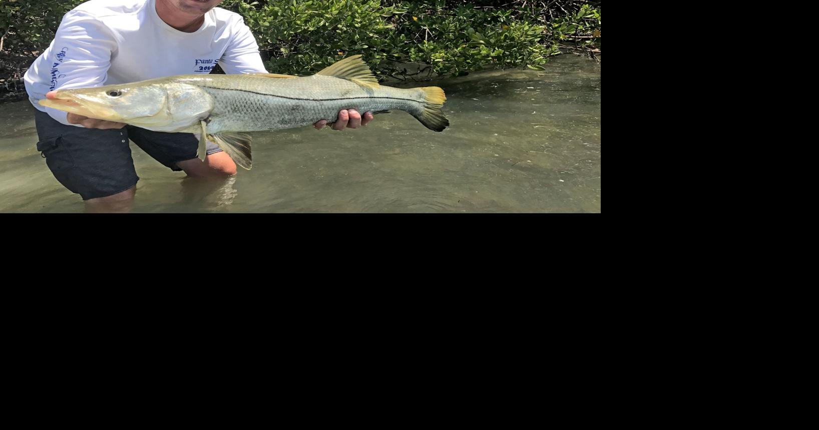 FWC extends catch-and-release for snook | News | yoursun.com