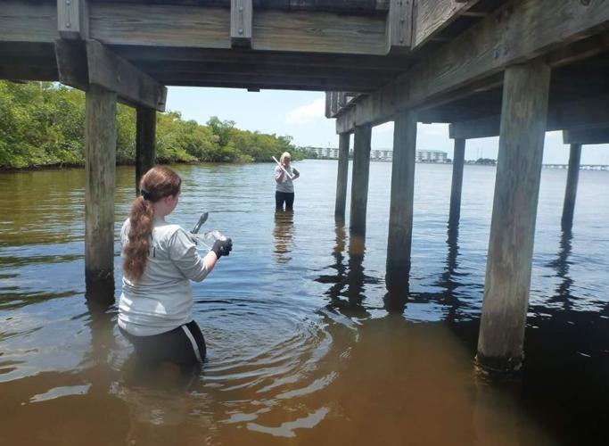 Local estuary protection program gets $75K grant from Florida DEP ...