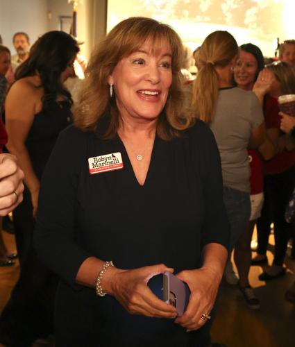Marinelli wins seat on Sarasota County School Board | elections ...