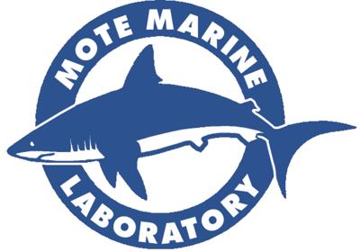 Mote announces Boca Grande expansion | Waterline | yoursun.com