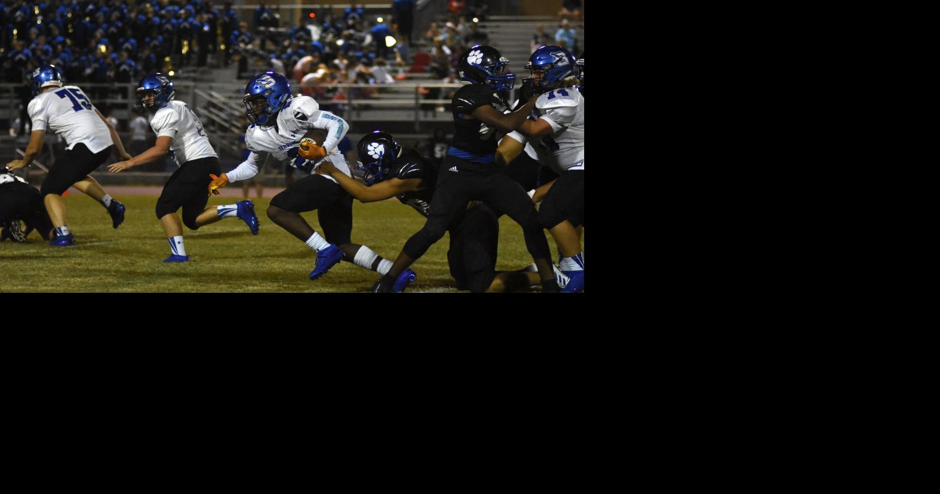 Blue Streaks blank Panthers | Sports | yoursun.com