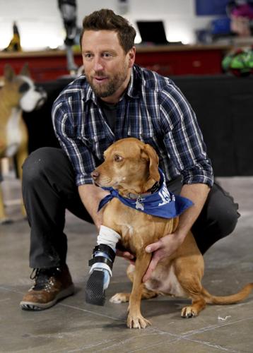 Prosthetics for animals on 'The Wizard of Paws' | Daily Break | yoursun.com