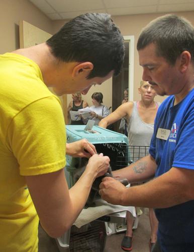 Full of dogs and cats | Newsarchives | yoursun.com