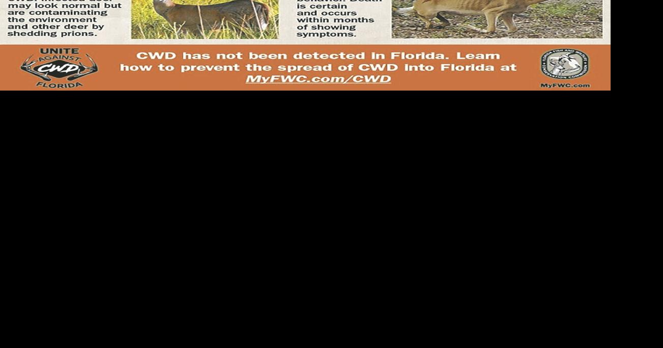Hunters: Help keep CWD out of Florida | Waterline | yoursun.com