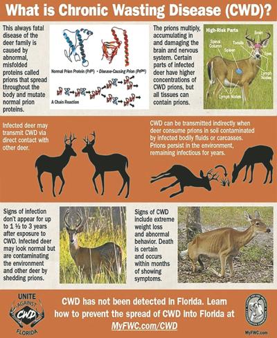 Hunters: Help keep CWD out of Florida | Waterline | yoursun.com