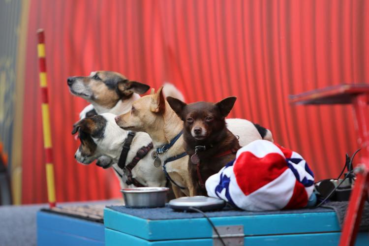 Memories of the Fair | News Archives | yoursun.com