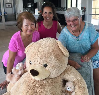 'Bring Your Teddy to Work' Day | The Daily Sun | yoursun.com