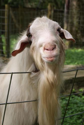 Environmental Learning Lab — a precious jewel | News Archives | yoursun.com