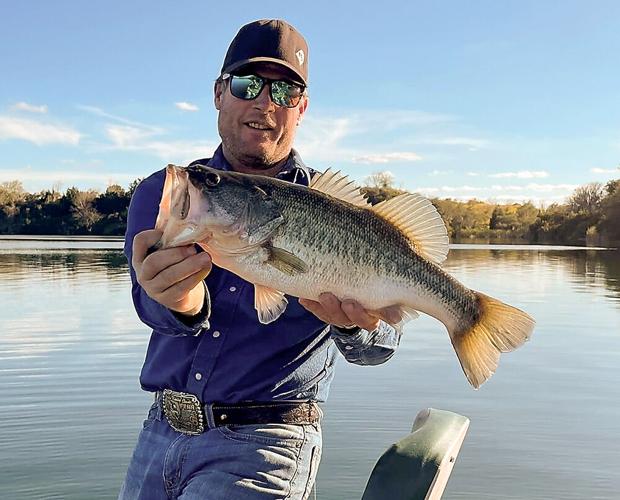 Reader photos | Waterline | yoursun.com