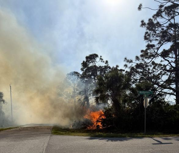 'RED FLAG' DAY: Firefighters fight brush fire in Gulf Cove area | Port ...