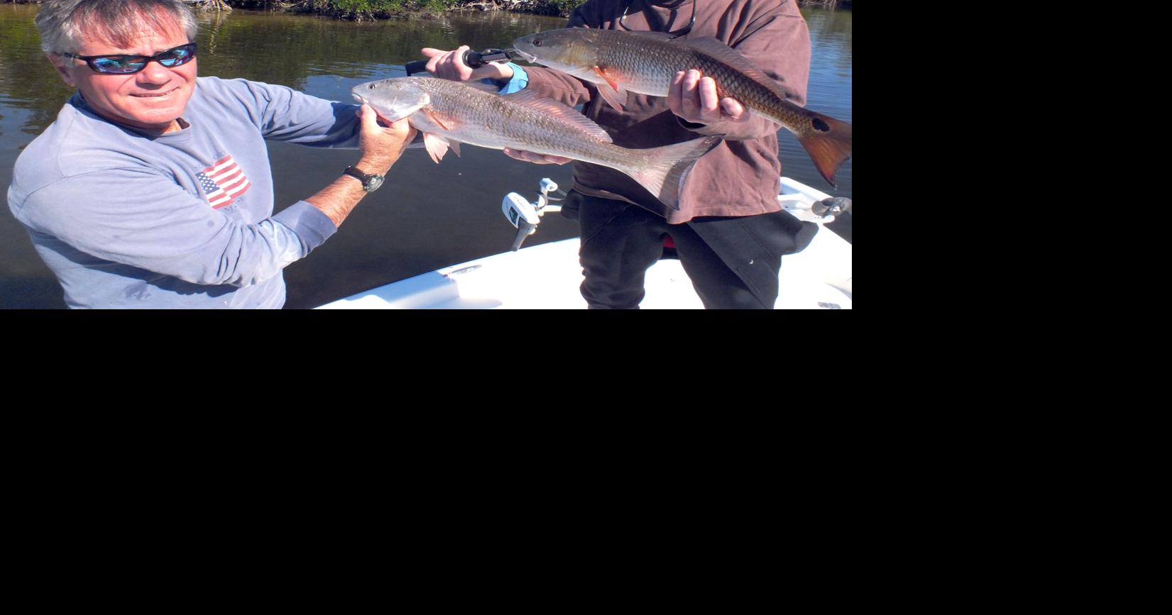 Look, listen, feel and learn | Waterline | yoursun.com