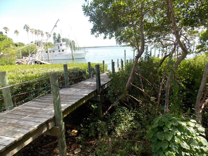 The Fishery, an island-style treasure | Go! | yoursun.com