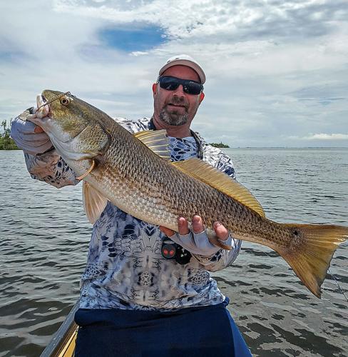 Reader photos | Waterline | yoursun.com