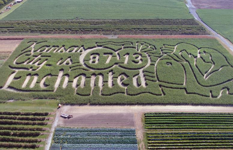 Corn maze celebrates Kelce & Swift’s love story | Daily Break | yoursun.com