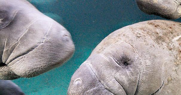 Slack Tides | Waterline | yoursun.com